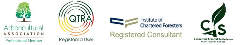 Bowland Tree Consultancy – Tree advice, surveys and reports